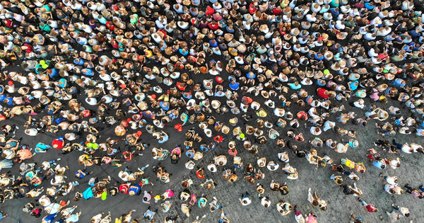 Rational Order from ‘Irrational’ Actions | Yale Insights